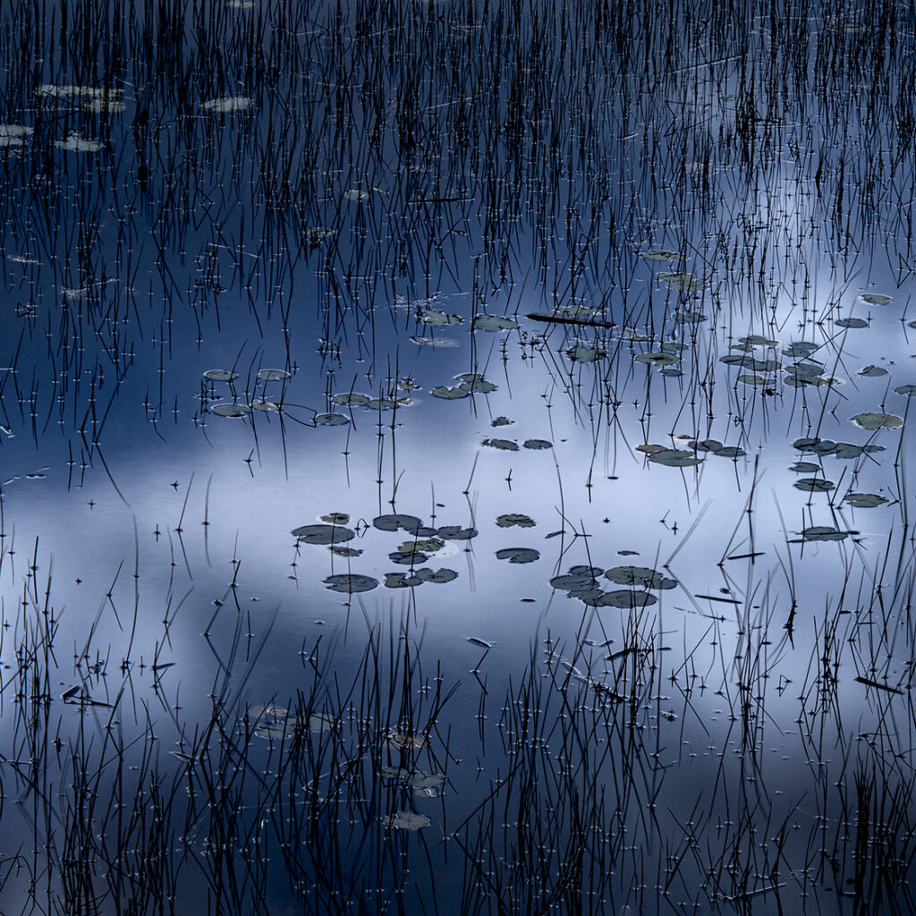 Making the Photo: Hope Remains – Dear Bubbles